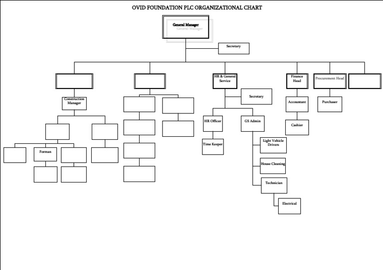 OVID Foundation PLC Org Chart | PDF | Business | Engineering