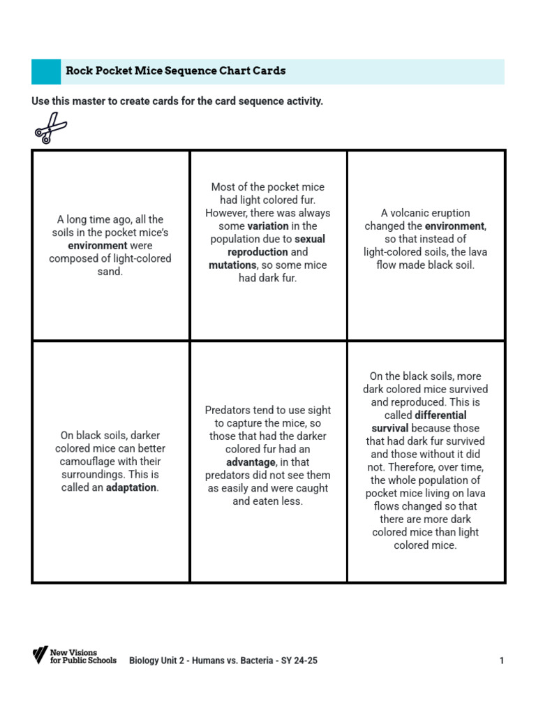 Rock Pocket Mice Sequence Chart Cards | PDF | Mouse | Fur