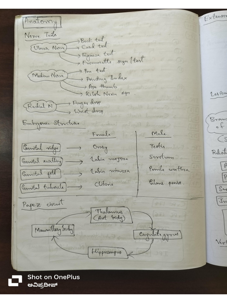 Rapid Revison Samples | PDF