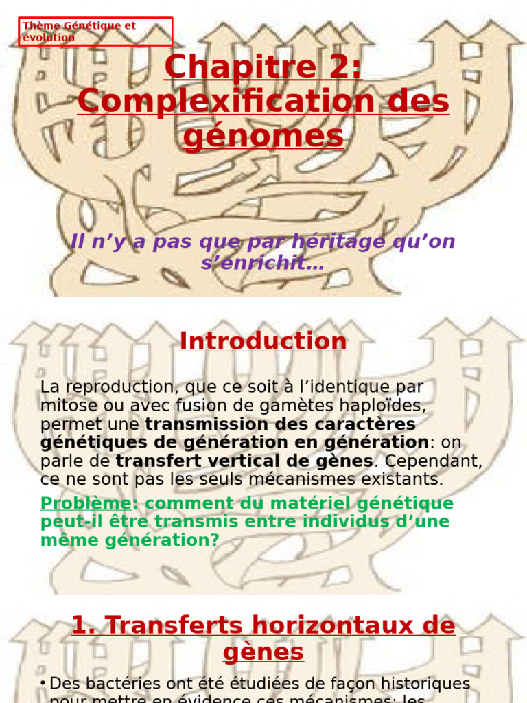 Chapitre 2 Complexification des génomes (1) | PDF | Cellule (Biologie ...