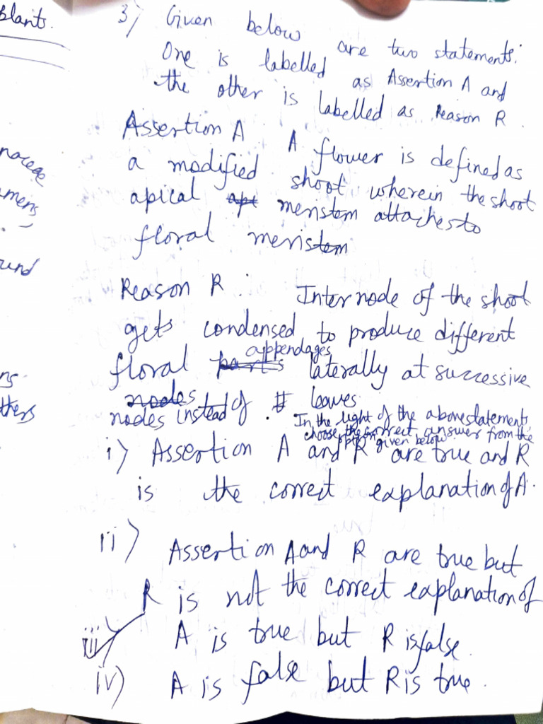 Morphology Class 11 | PDF