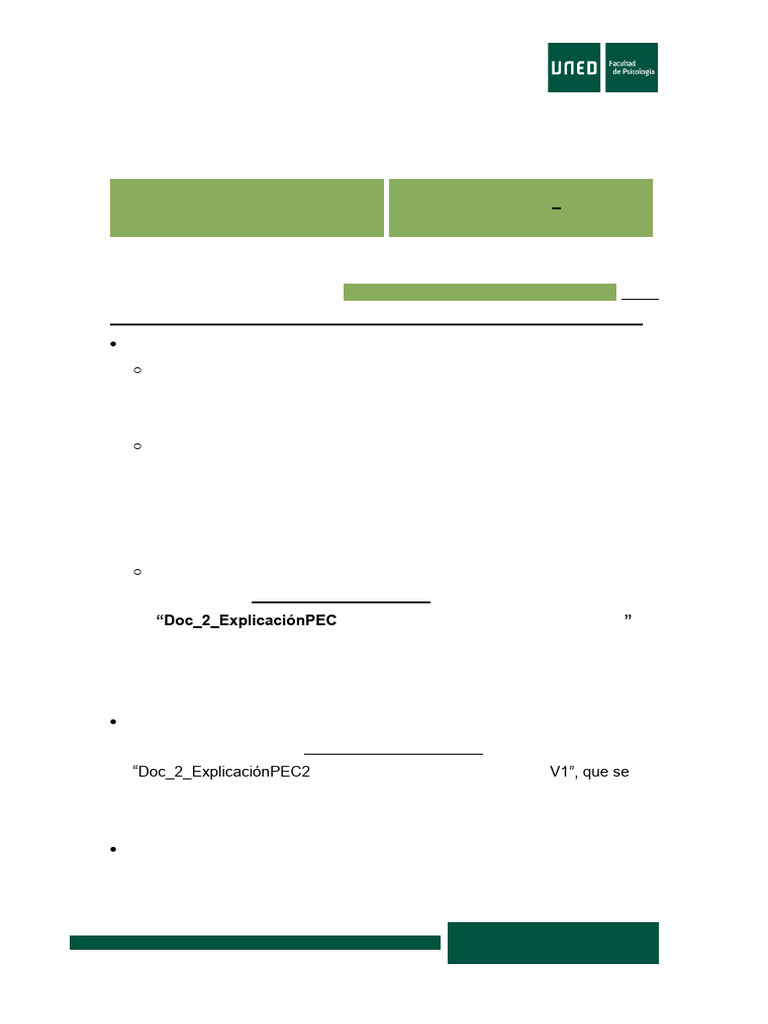 1 Instrucciones V1 PEC24 25 SauloFernandez IreneCastro | PDF | Cuestionario