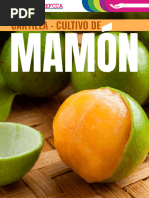 El Mamon en Venezuela | PDF | Alimentos | Plantas comestibles
