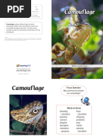 Butterfly Camouflage | PDF | Camouflage | Mimicry