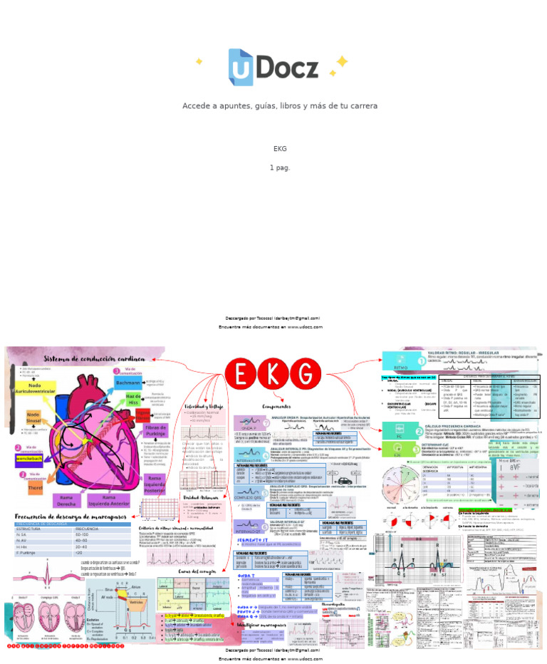 EKG Mapa | PDF | Sistema circulatorio | Electrofisiologia