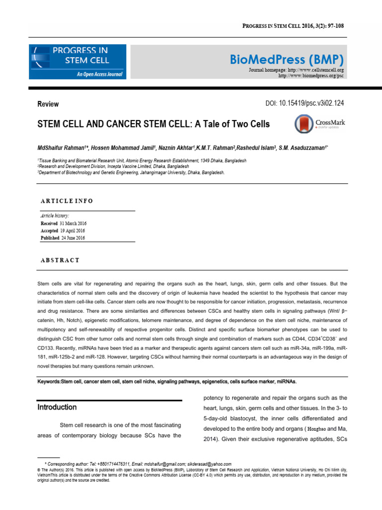 202205cancer Stem Cells PDF | PDF | Cellular Differentiation | Stem Cell