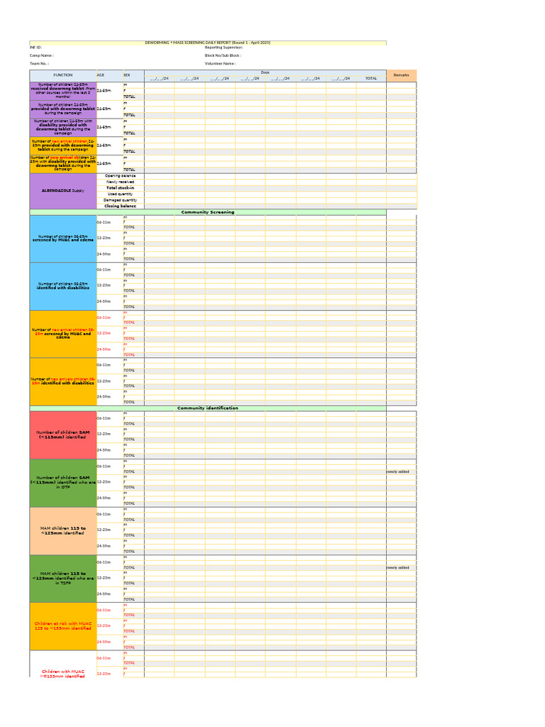 DMM R1 Daily Reporting Format 2025 | PDF