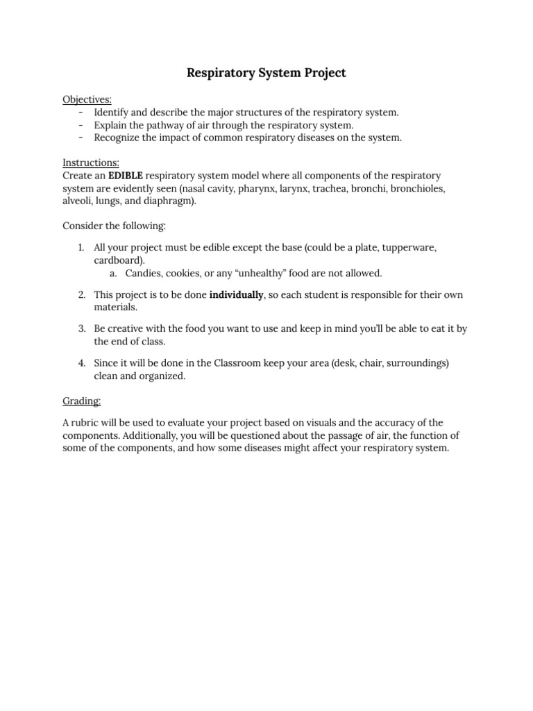 Respiratory System Project | PDF