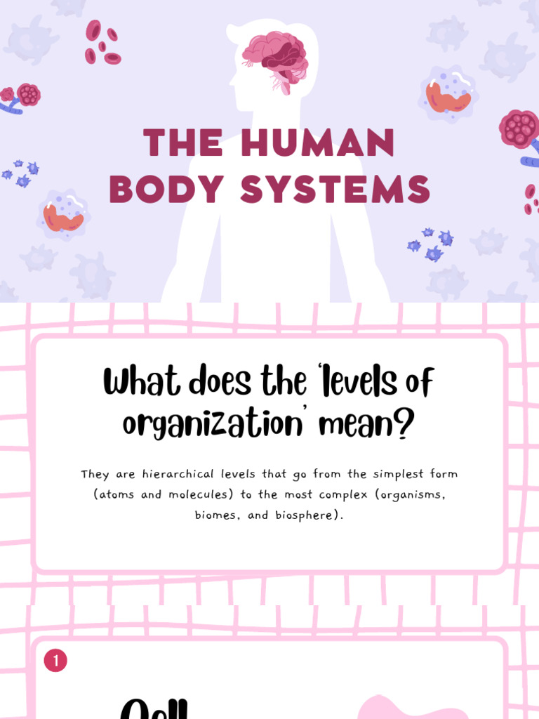 6th - Lesson 9 - Body Systems - Part 1 | PDF | Nerve | Respiratory System