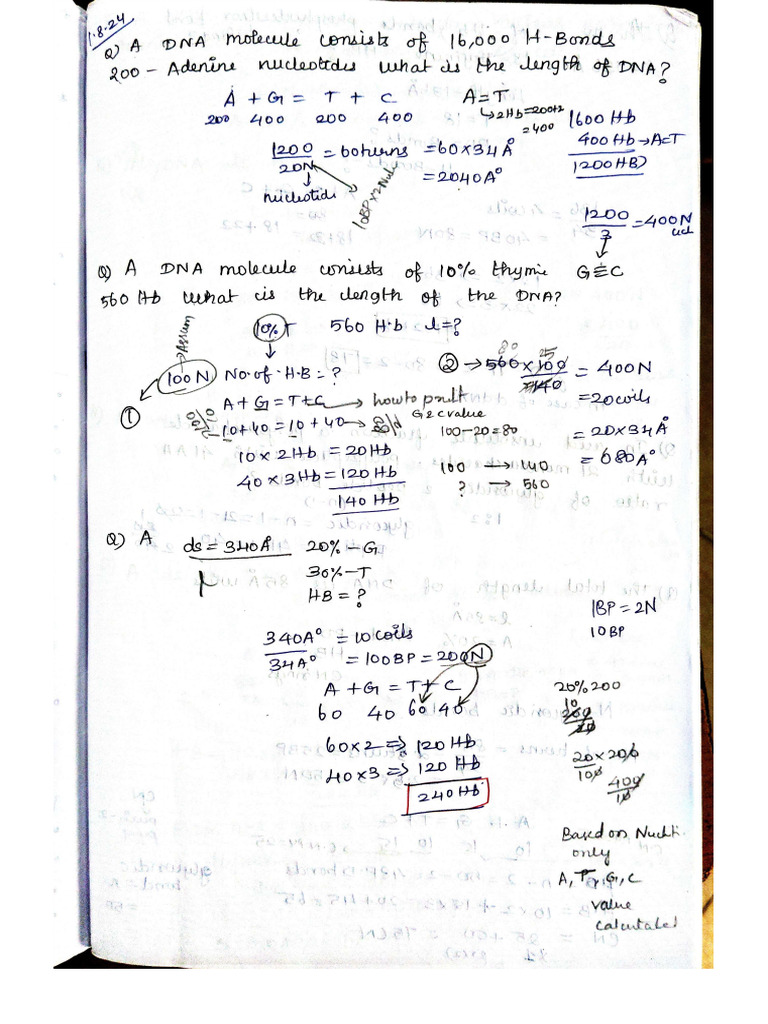 DNA Numericals | PDF