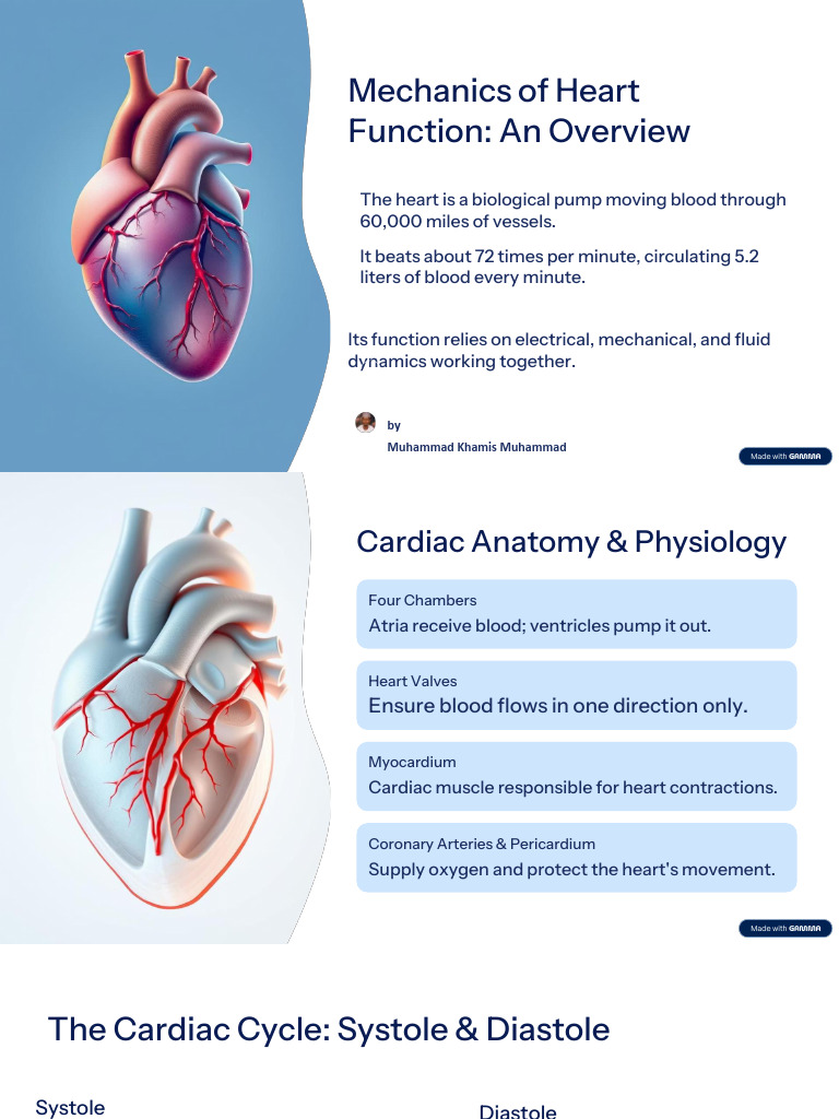 Mechanics of Heart Function An Overview | PDF | Heart | Ventricle (Heart)