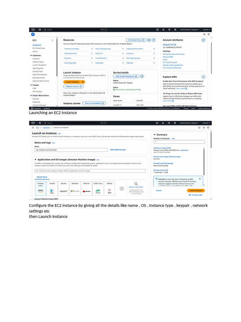 Lab Execution | PDF