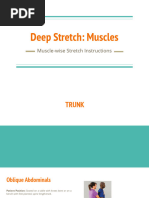 mmt8 Grading and Testing Procedures For The Abbreviated 8 Muscle Groups ...