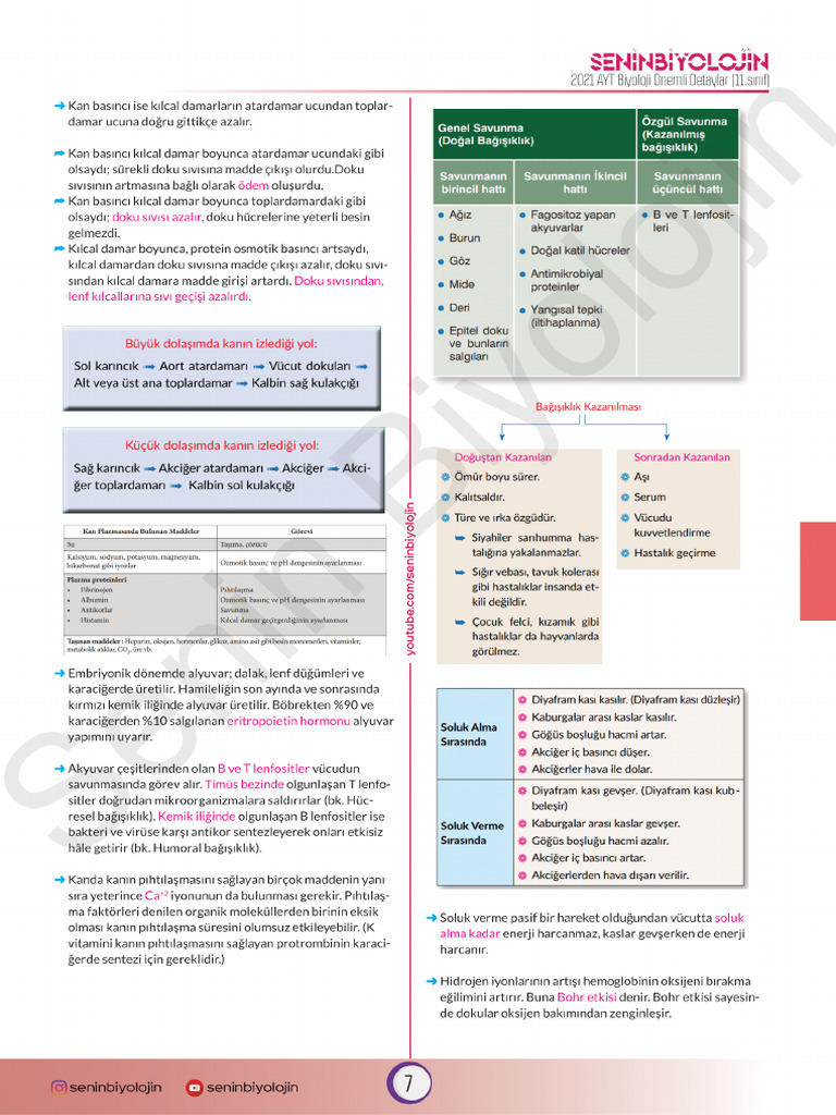 AYT MEB Önemli Detaylar 3 | PDF