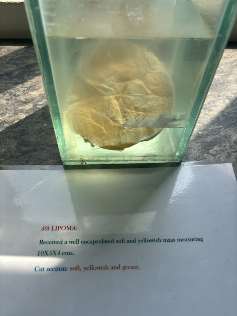 Pathology Specimens | PDF