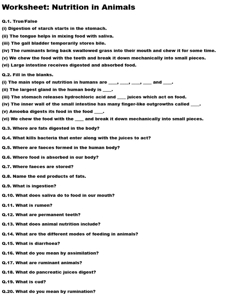 Nutrition in Animals Class 7 Worksheet Science Chapter 2 | PDF