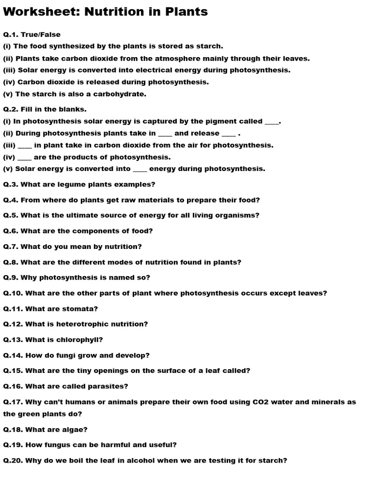 Nutrition in Plants Class 7 Worksheet Science Chapter 1 | PDF