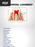 Gingival Health: McCall's Festoons Explained | PDF | Periodontology ...