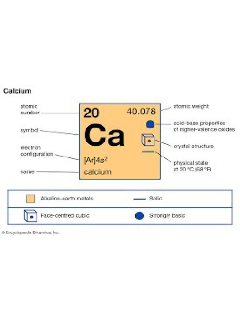 Calcium | PDF