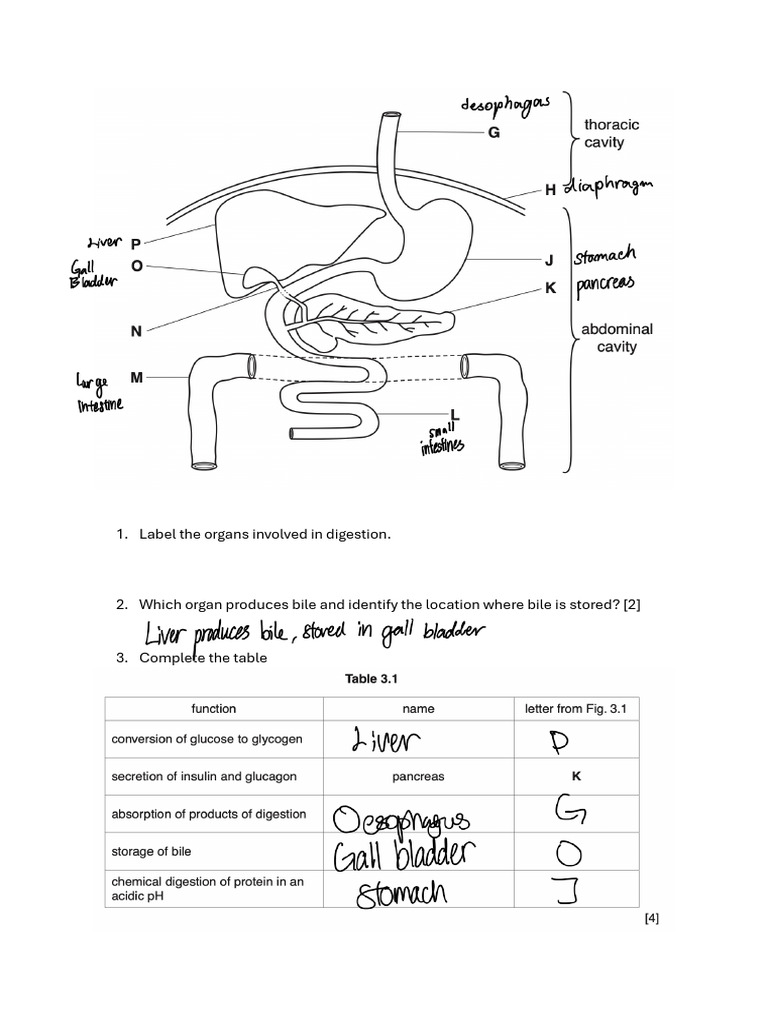 Revision Worksheet Subtopic 7.2 Amd 7 Compressed.3 | PDF
