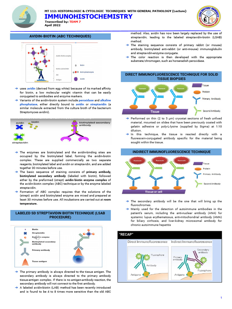 His Lec Immunohistochemistrypart 2 | PDF | Immunofluorescence | Immunohistochemistry