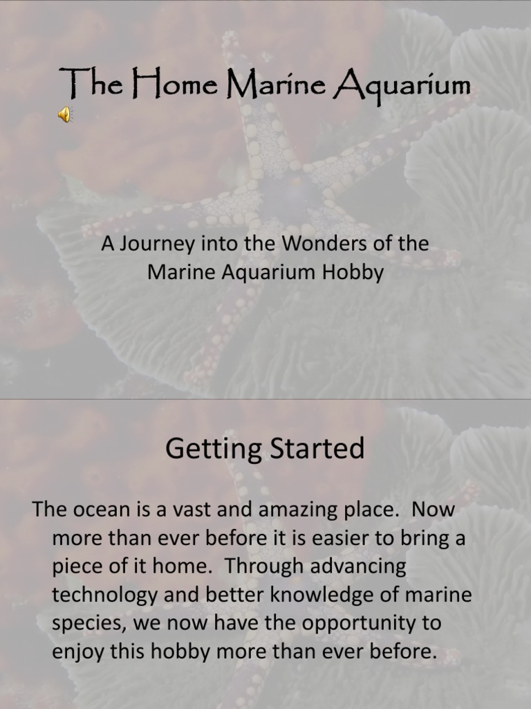 The Home Marine Aquarium1 | PDF | Home & Garden