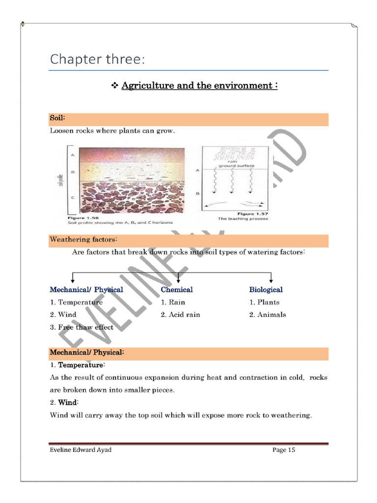 Chapter 3 2023-1 | PDF