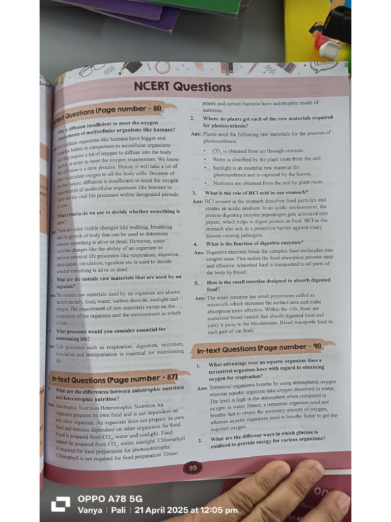 Class 10 Science Life Processes | PDF