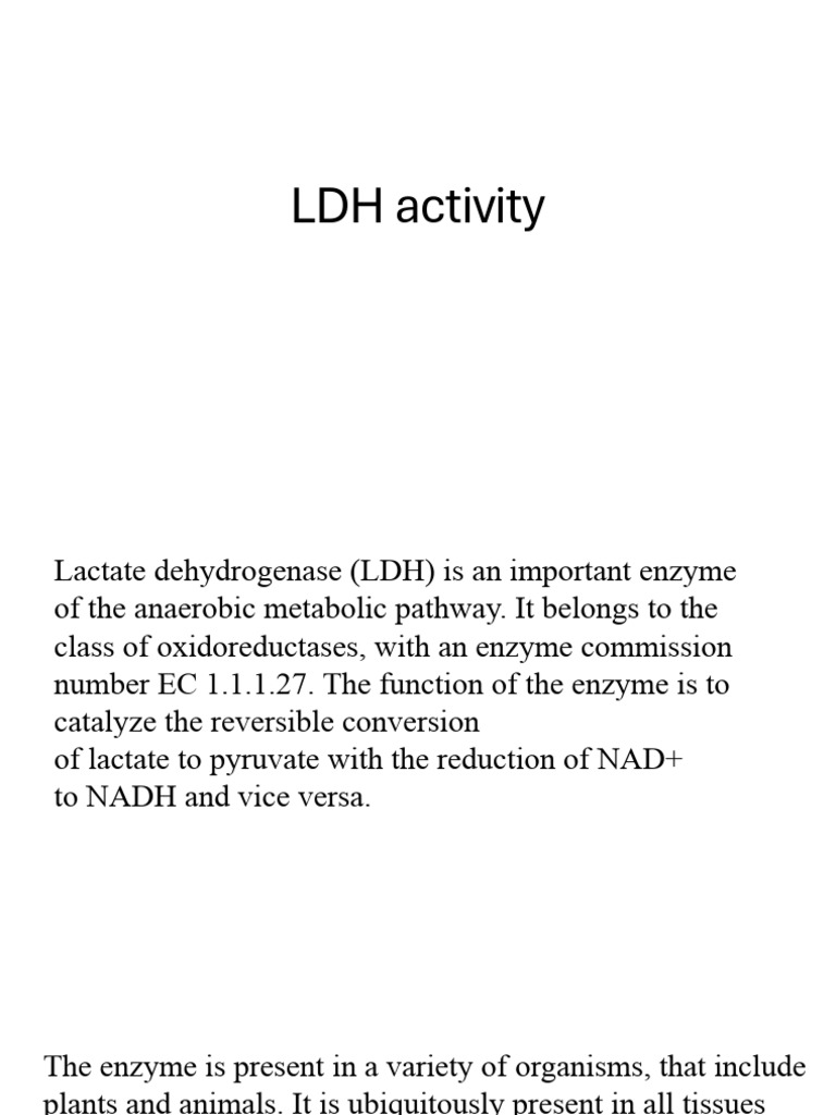 LDH 1 | PDF