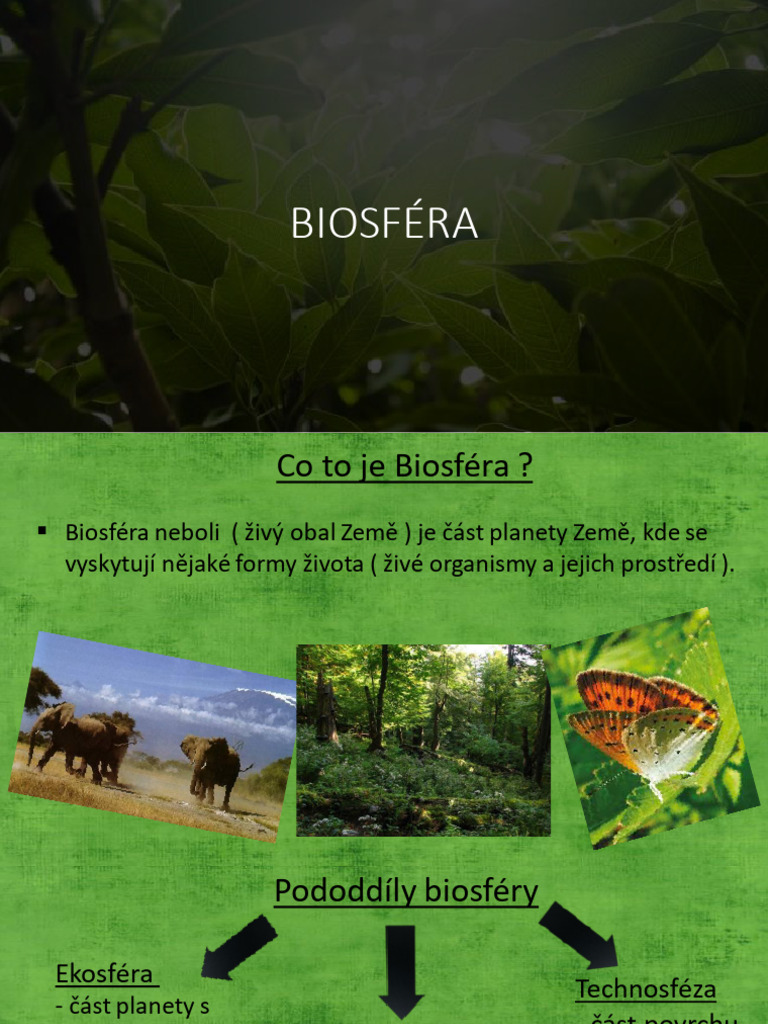 BIOSFERA | PDF