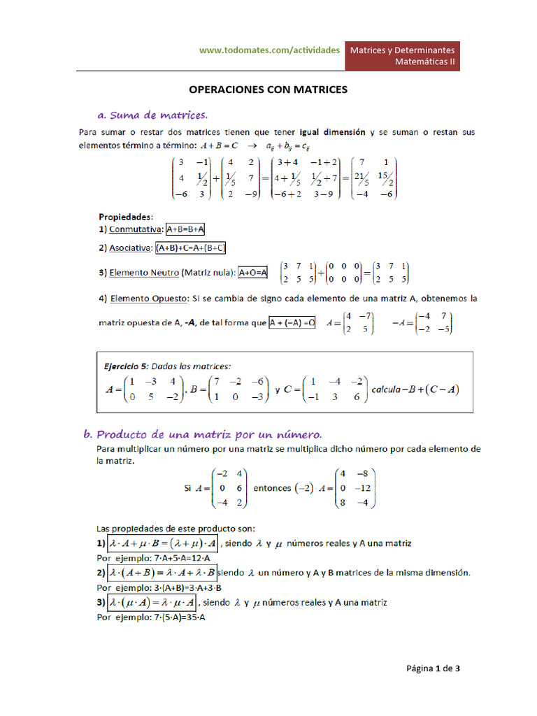 Operaciones Con Matrices 1 | PDF