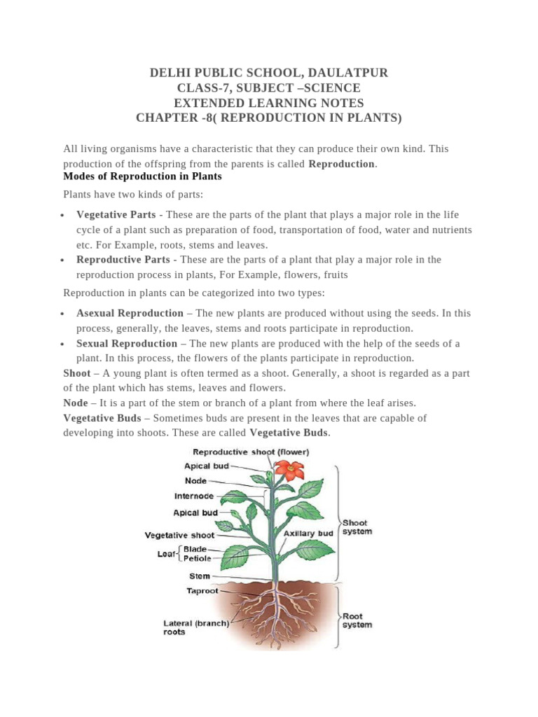 Reproduction in Plants: A Comprehensive Guide | PDF | Reproduction | Seed