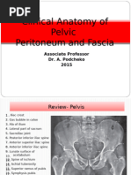 Prostate Fossa Contouring Guide: Jill Gunther, MD Modified by The ...