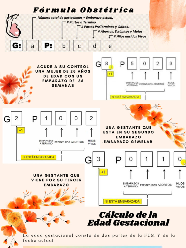 OBSTETRICIA TEMA 16 (1) - Compressed (1) (6) - Removed | PDF