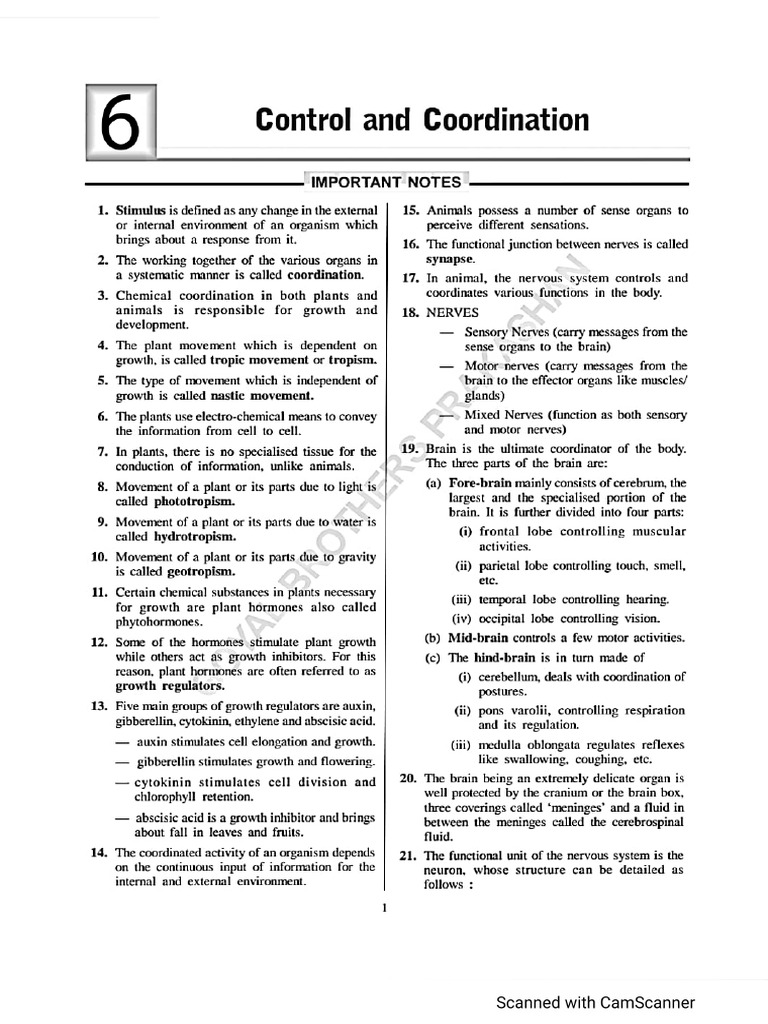 Control and Coordination | PDF
