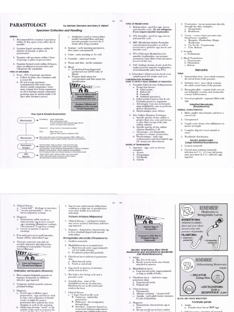 Danny Donor by 2 para | PDF