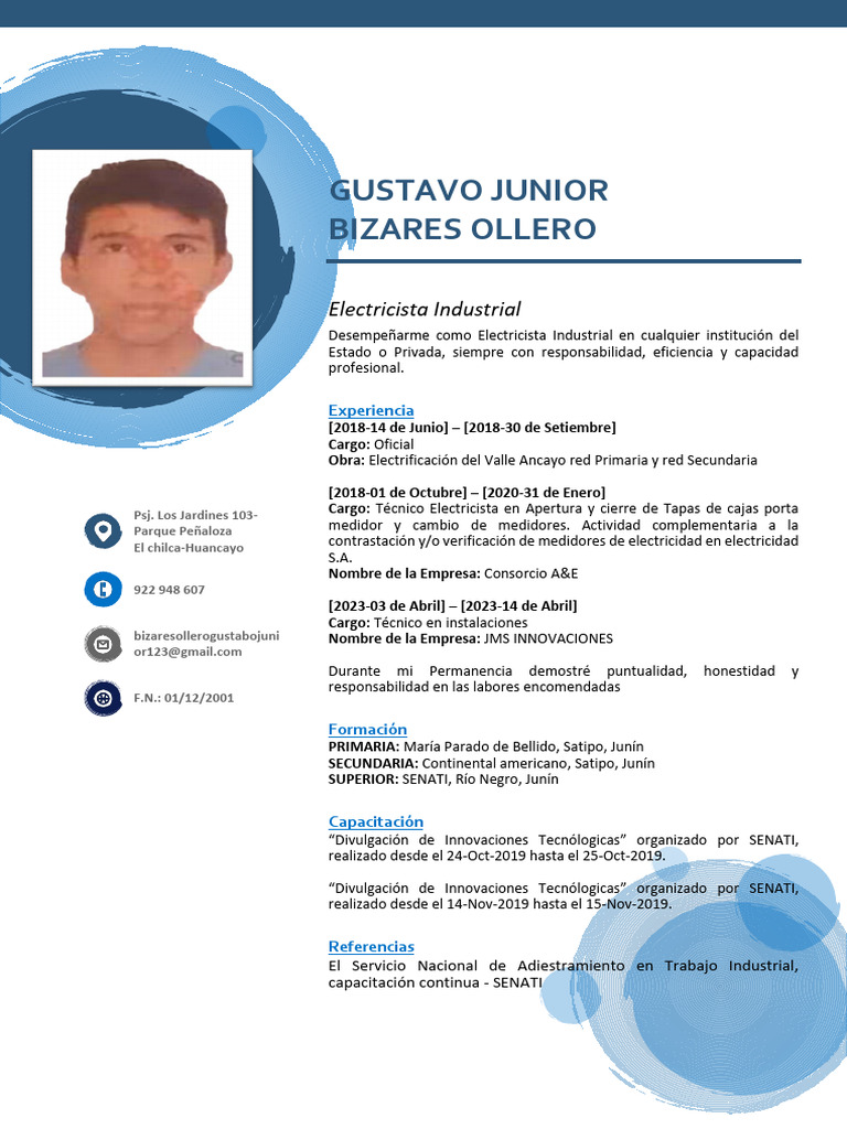 CV - Gustavo Bizares Ollero | PDF | Información | Derecho laboral