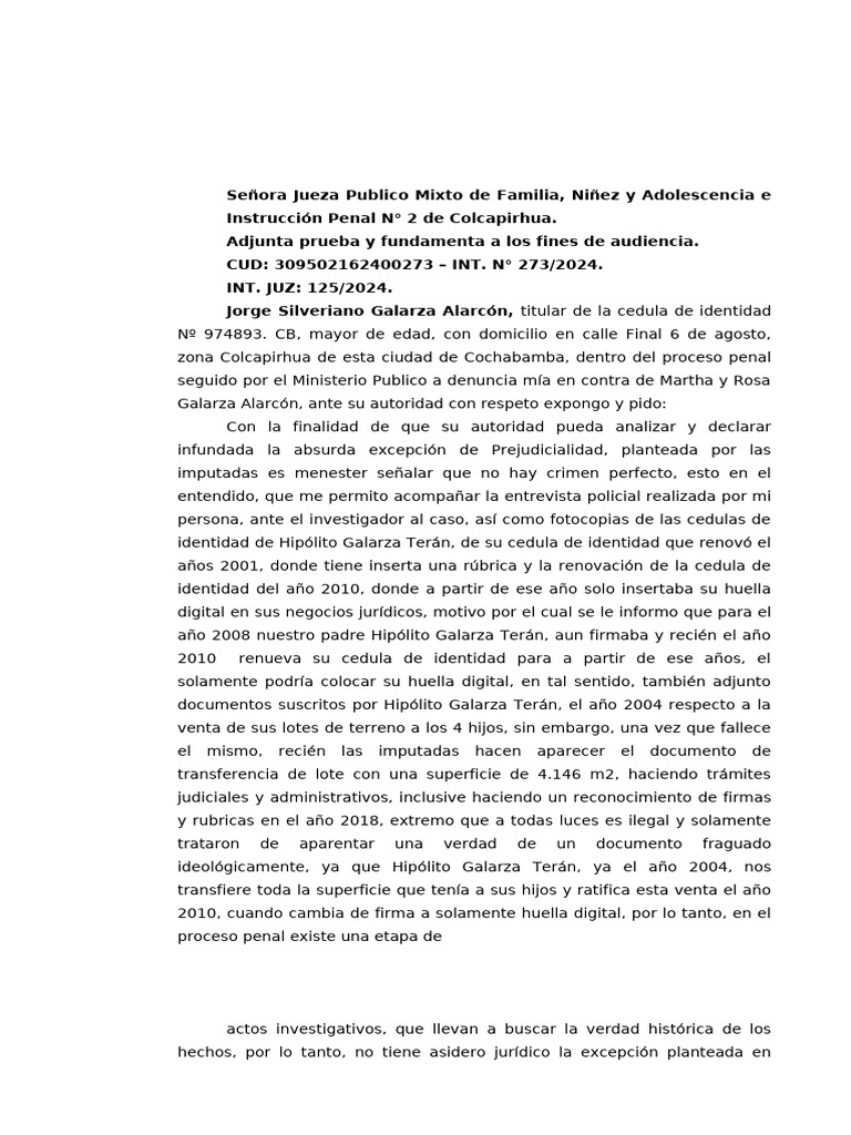 Adjunta Prueba para Excepcion | PDF | Justicia | Crimen y violencia