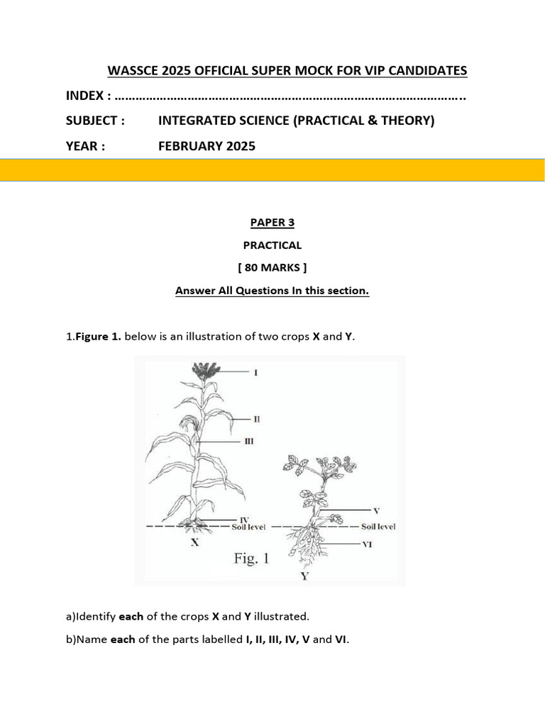 WASSCE 2025 Integrated Science Super Mock | PDF | Sodium Hydroxide ...