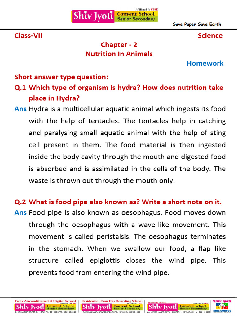 Class 7 Science Term 1 CH 2 Nutrition in Animals HW | PDF