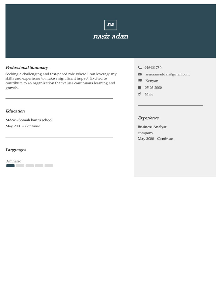 Nasir Resume 602 | PDF