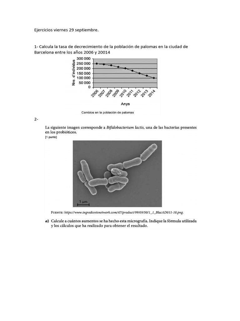 Bio Check | PDF