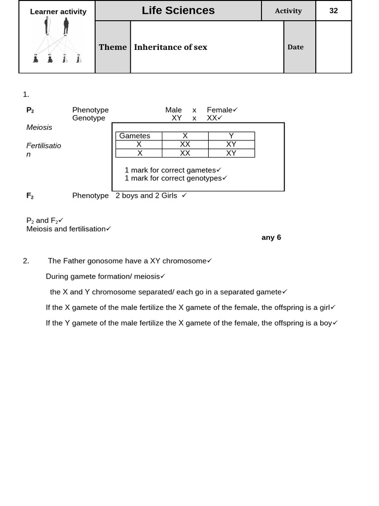 Doc15 Memo Activity 32 Inheritance of Sex 1710148093 | PDF