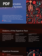 Finger Abacus A Fun Way To Learn Math. | PDF | Hand | Finger
