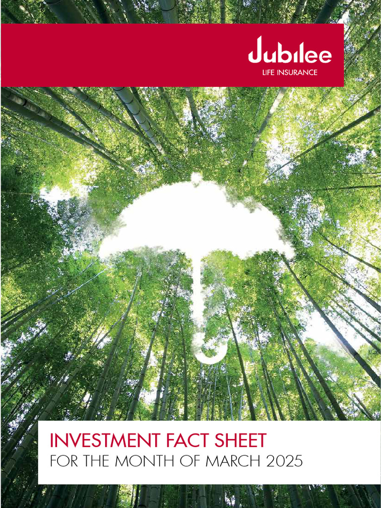 March 2025 Investment Overview Report | PDF | Macroeconomics | United ...