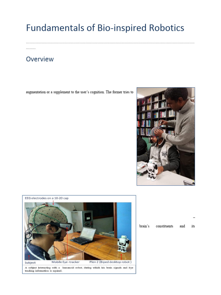 GIAN Brochure Bio-Inspired Robotics | PDF | Robotics | Brain