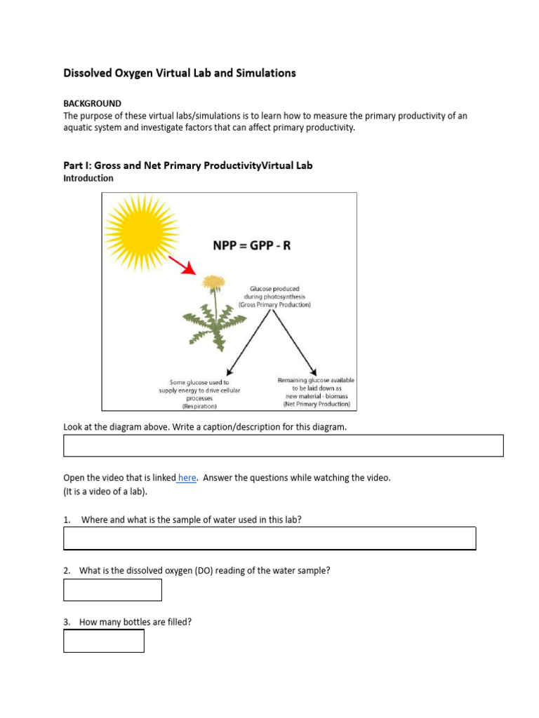 Kate Lee - Dissolved Oxygen Virtual Lab and Simulations | PDF | Primary ...