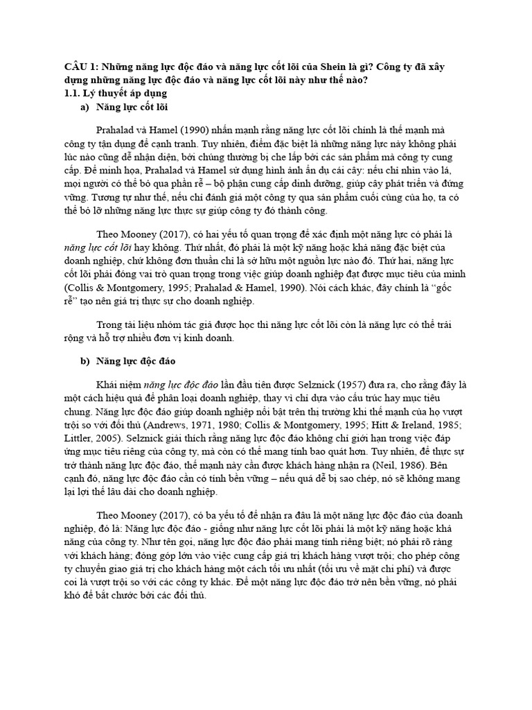 B N Gi I Casestudy Shein - Chính TH C | PDF