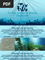 Aquatic Life - Flora and Fauna | PDF | Coral | Habitat