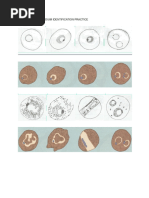 Evacuated Tube System Listed in Order of Draw Sequence and Additional ...